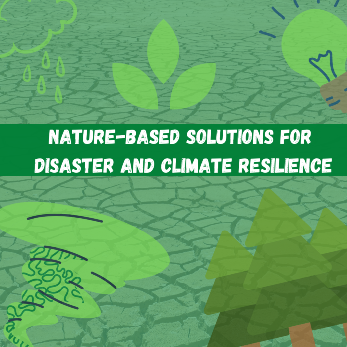 Nature-based Solutions for Disaster and Climate Resilience | The German ...