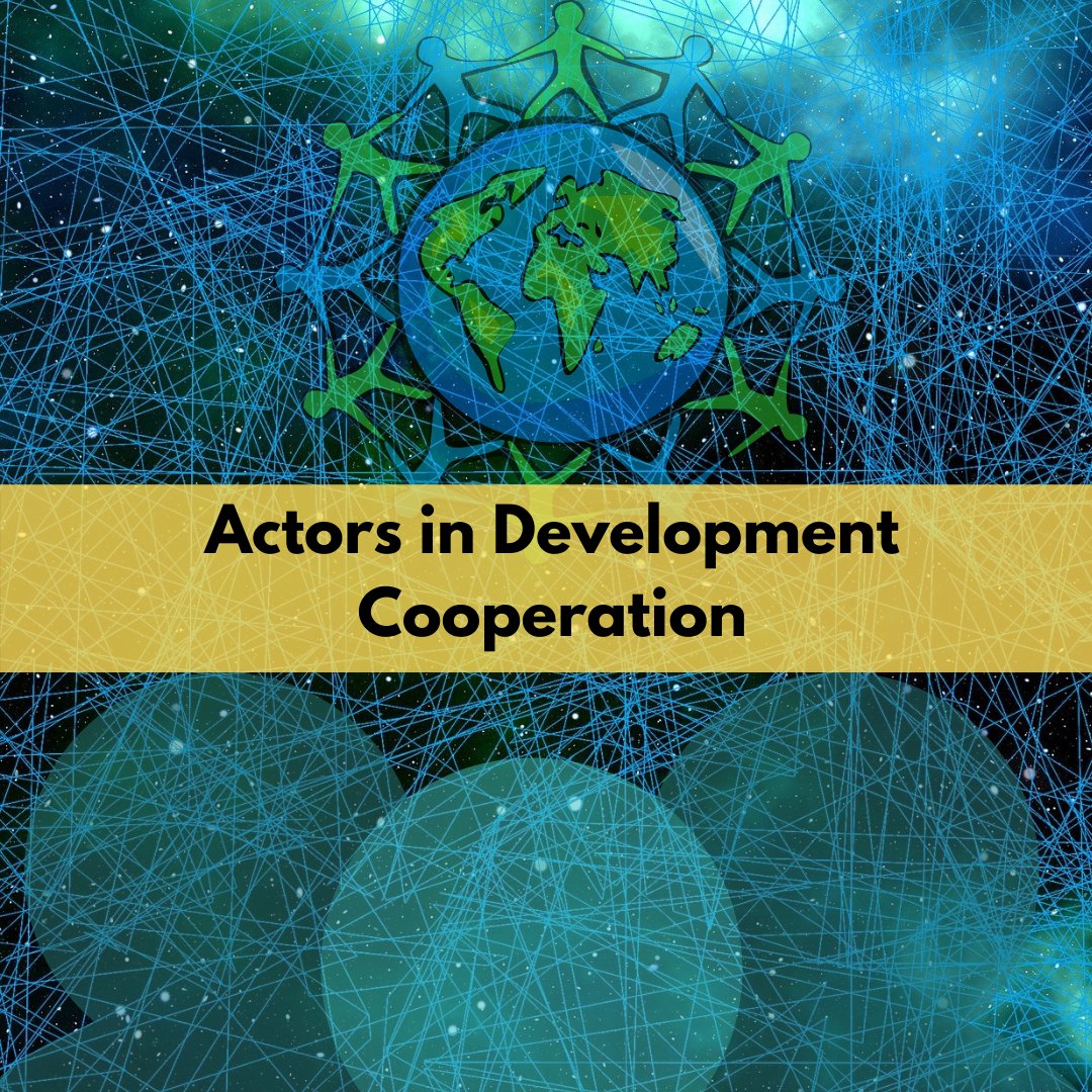 Actors in Development Cooperation | The German Association of ...