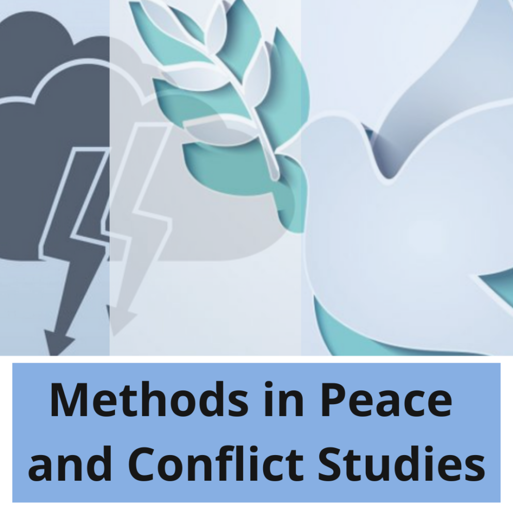 Introduction to Peace and Conflict Studies | The German Association of ...